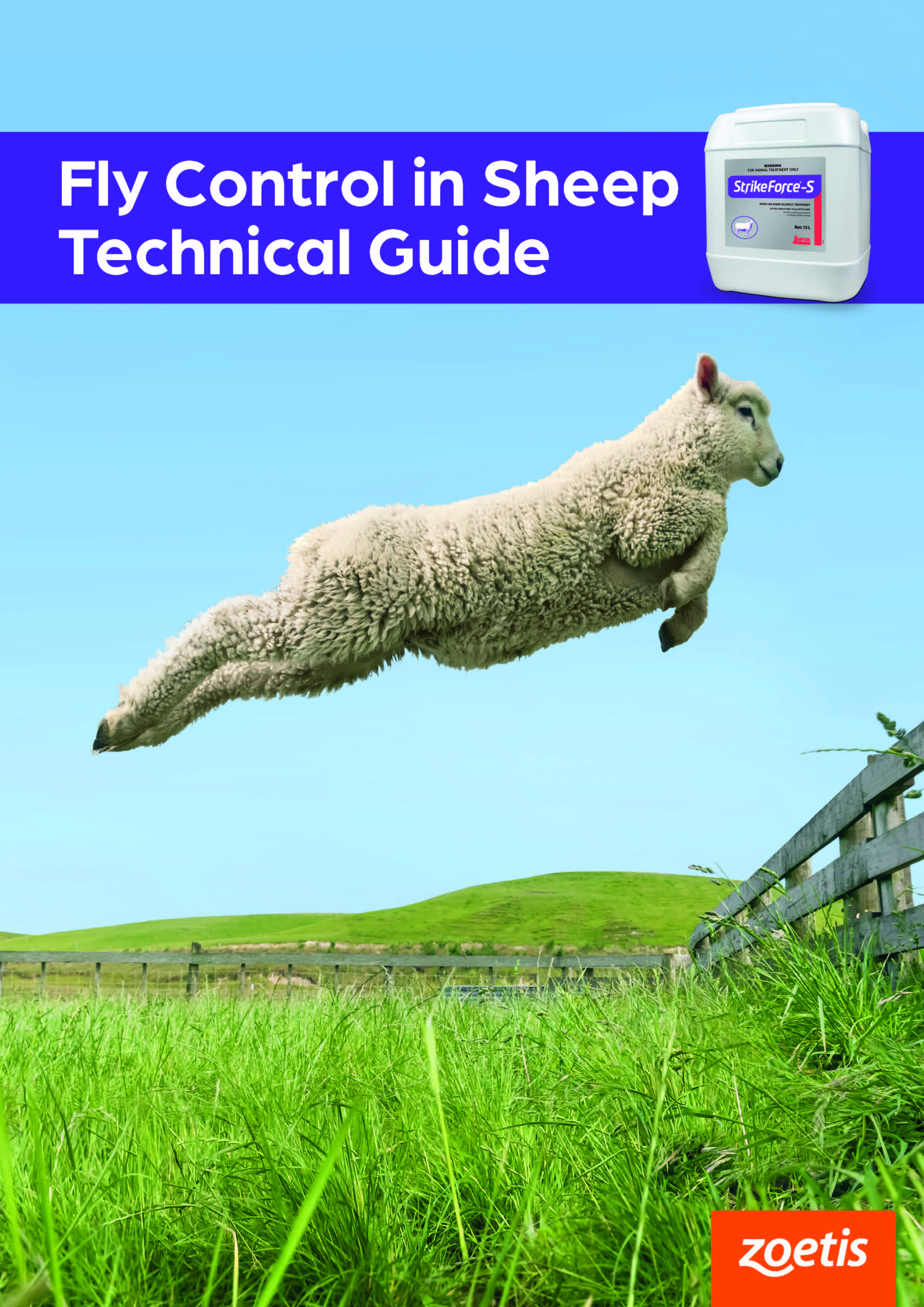 Sheep Solutions NZ | Zoetis NZ