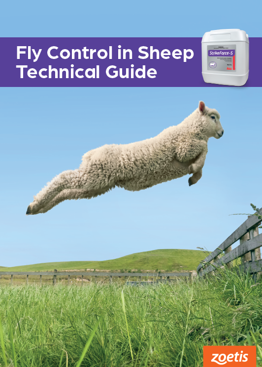 Sheep Solutions NZ | Zoetis NZ