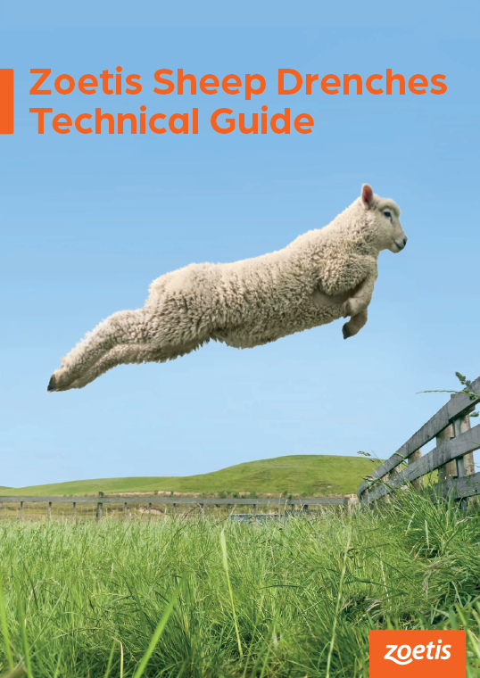 Sheep Solutions NZ | Zoetis NZ